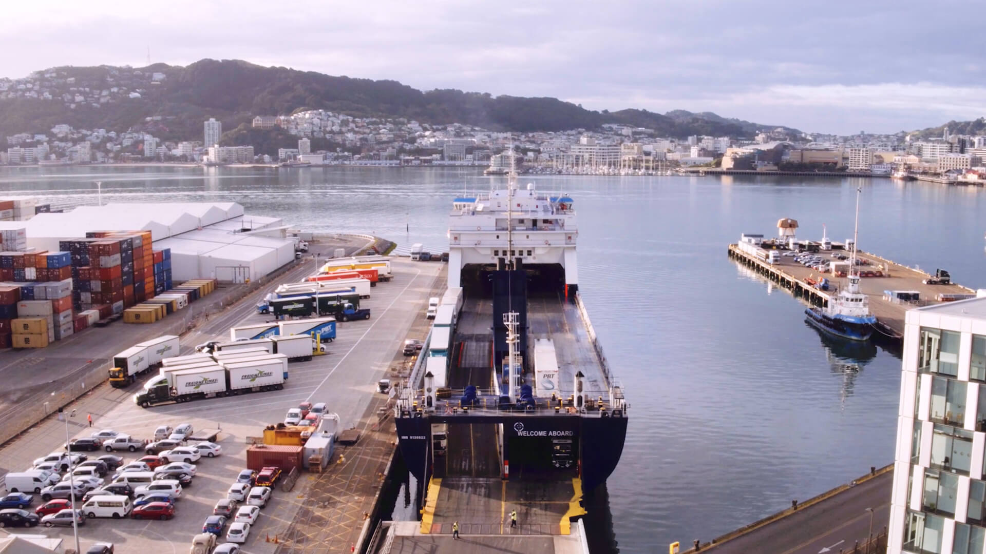 Bluebridge Cook Strait Ferries